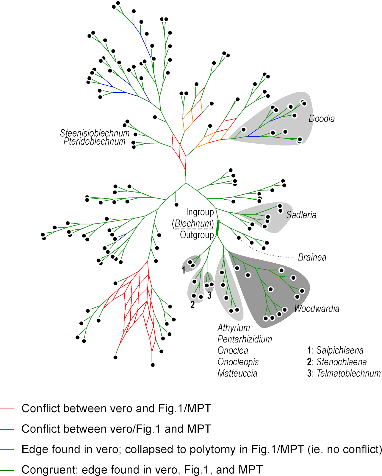 The Genealogical World of Phylogenetic Networks: More heretic bits ...