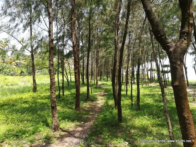 Driving around Kochi on a hartal day - eNidhi India Travel Blog