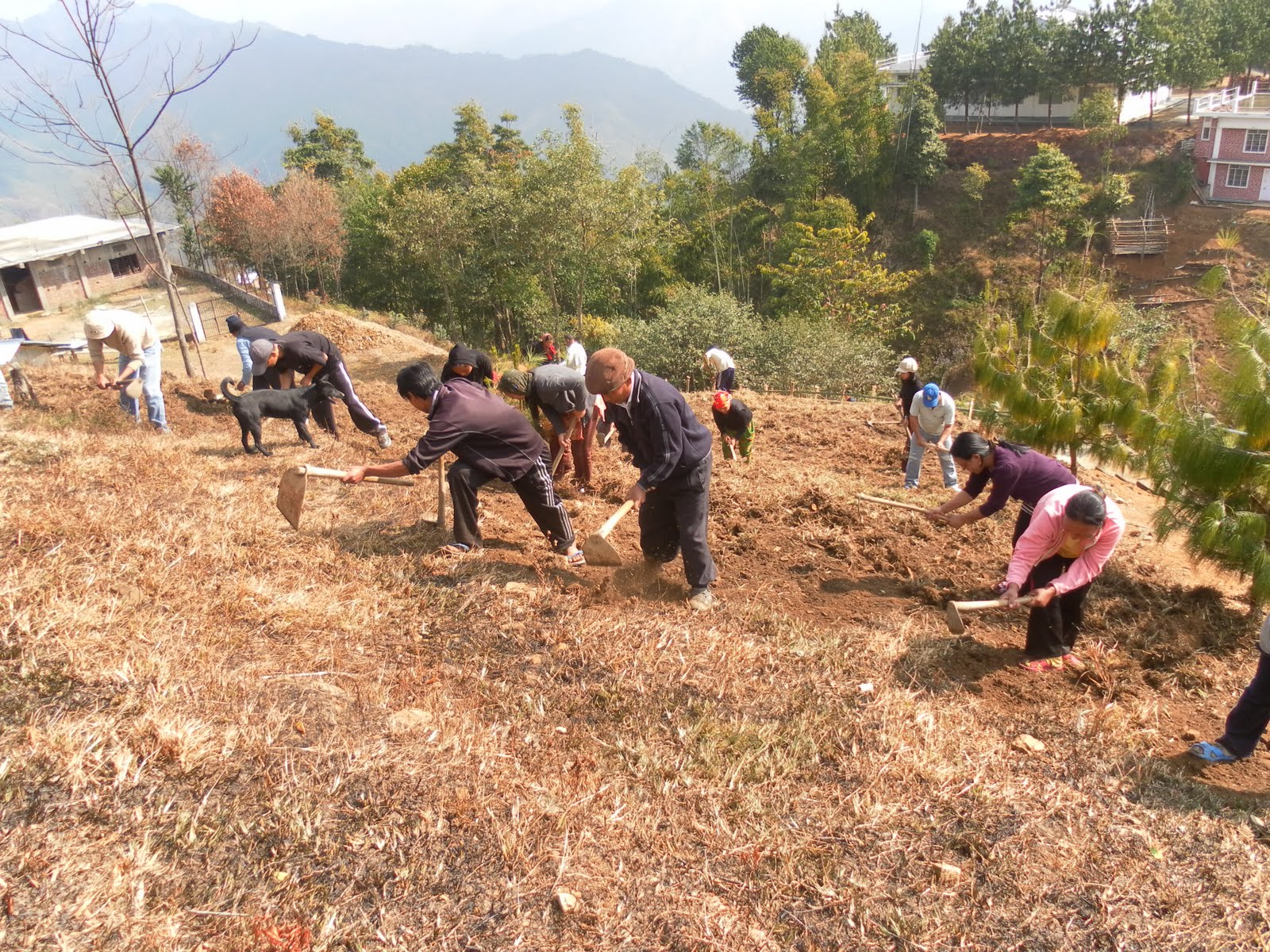 Village View: Love Local, Grow Local, Eat Local