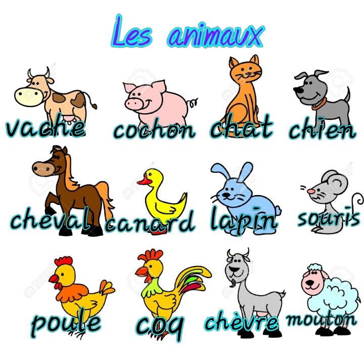 E&F-learninGOnline: Animales en Francès