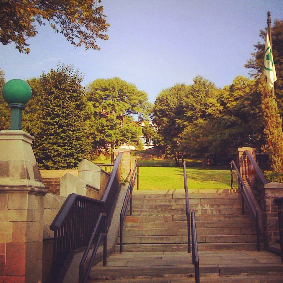 H A R L E M + B E S P O K E: SEE: THE ST. NICHOLAS PARK TREE LIGHTING 2018