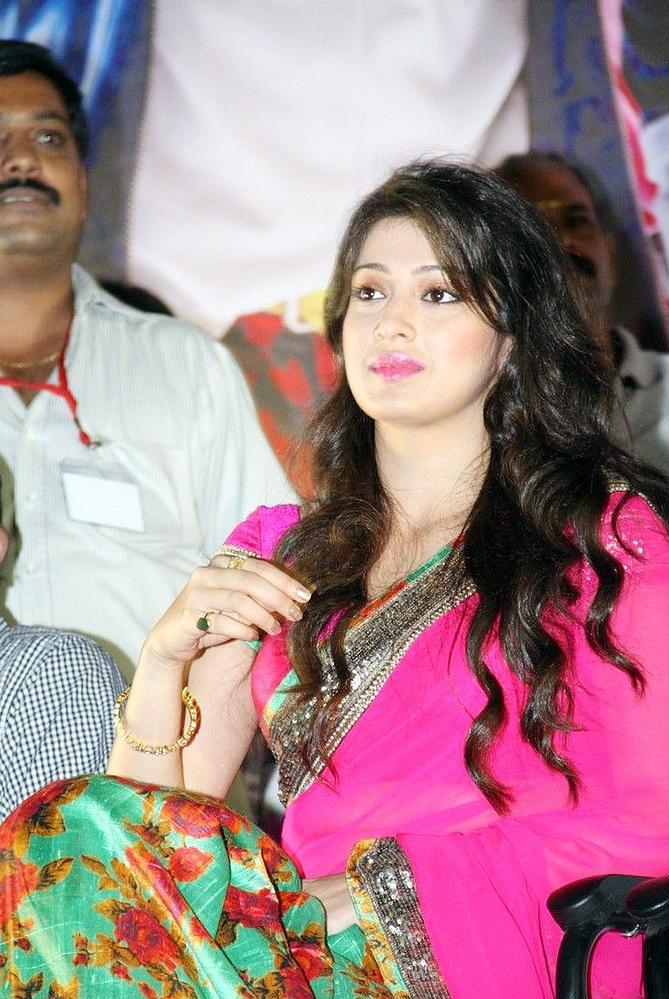lakshmi-rai-latest-saree-stills | Tollywood,Kollywood Movie Wallpapers ...