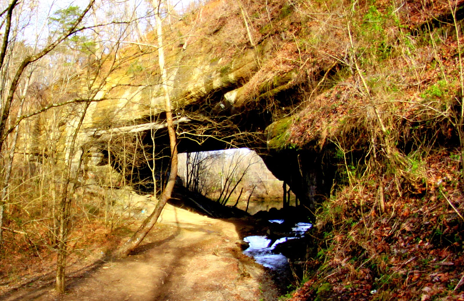 iheartky: Rockhouse Arch Kentucky Treasure