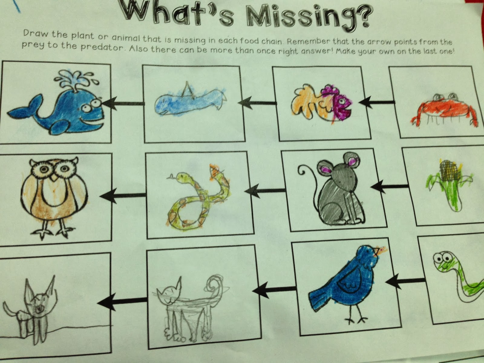 The Adventures of a K/1 Teacher: Habitats & Food Chains