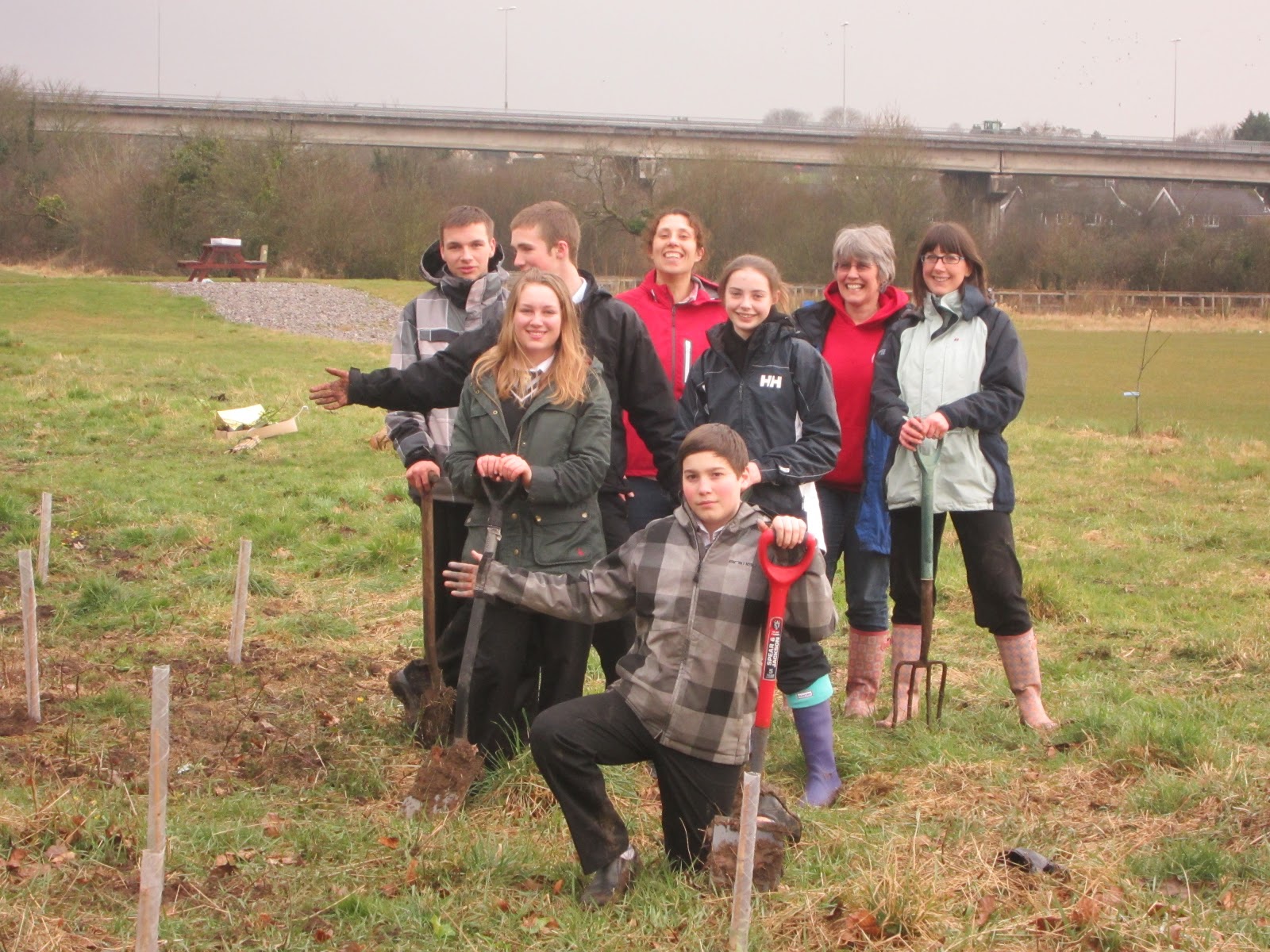 Eco-Schools at Cowbridge Comprehensive School : Tree-mendous!