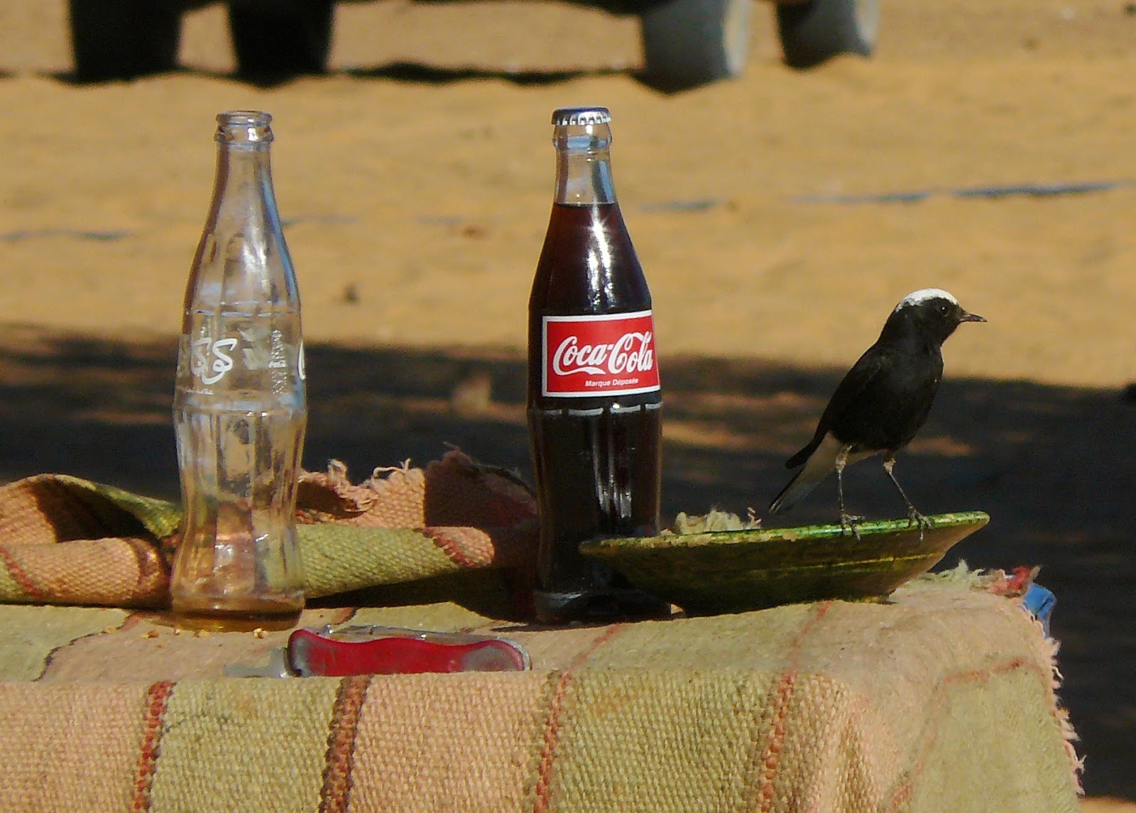 Julian Sykes Wildlife Holidays