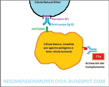 Resumen de Inmunología: julio 2011