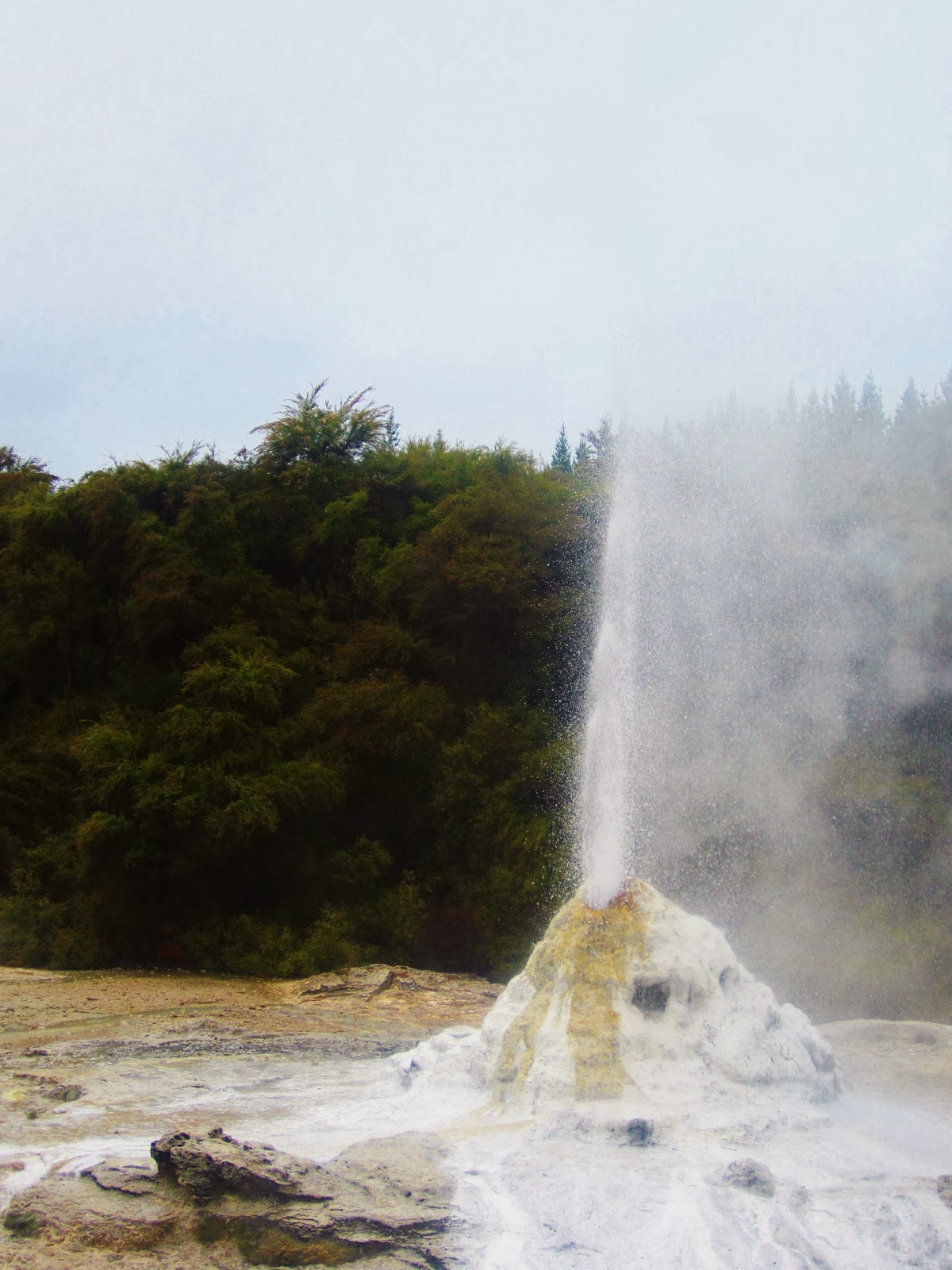 on the road (and in the sky): rotorua: geysers, glowworms and green hills