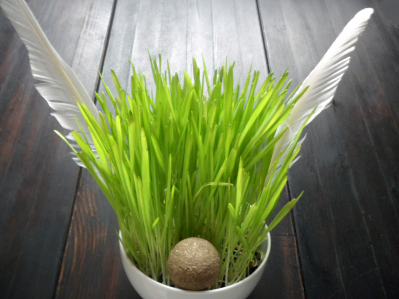 omⒶ KOPPA: Hyvää syntymäpäivää Robert!