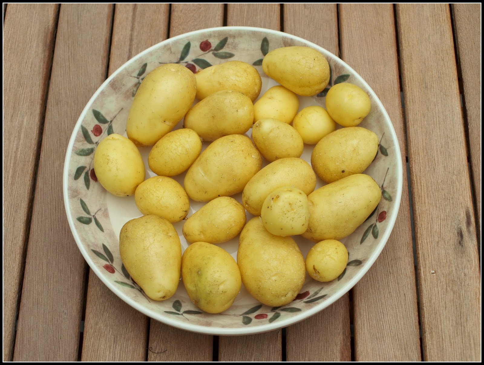 Mark's Veg Plot: The square potato