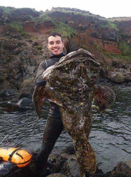 Big Fishes of the World: ANGLER FISH MONKFISH (Lophius piscatorius)