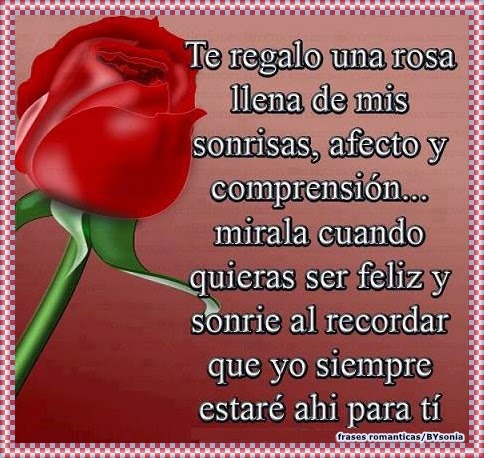 Frases Romanticas: una rosa