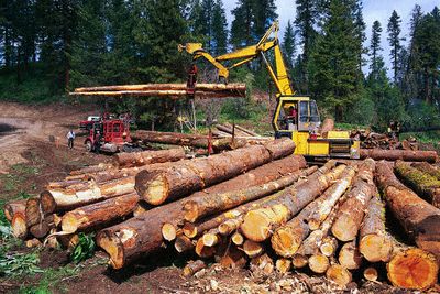 FORESTRY - LEARNING: Forest Products