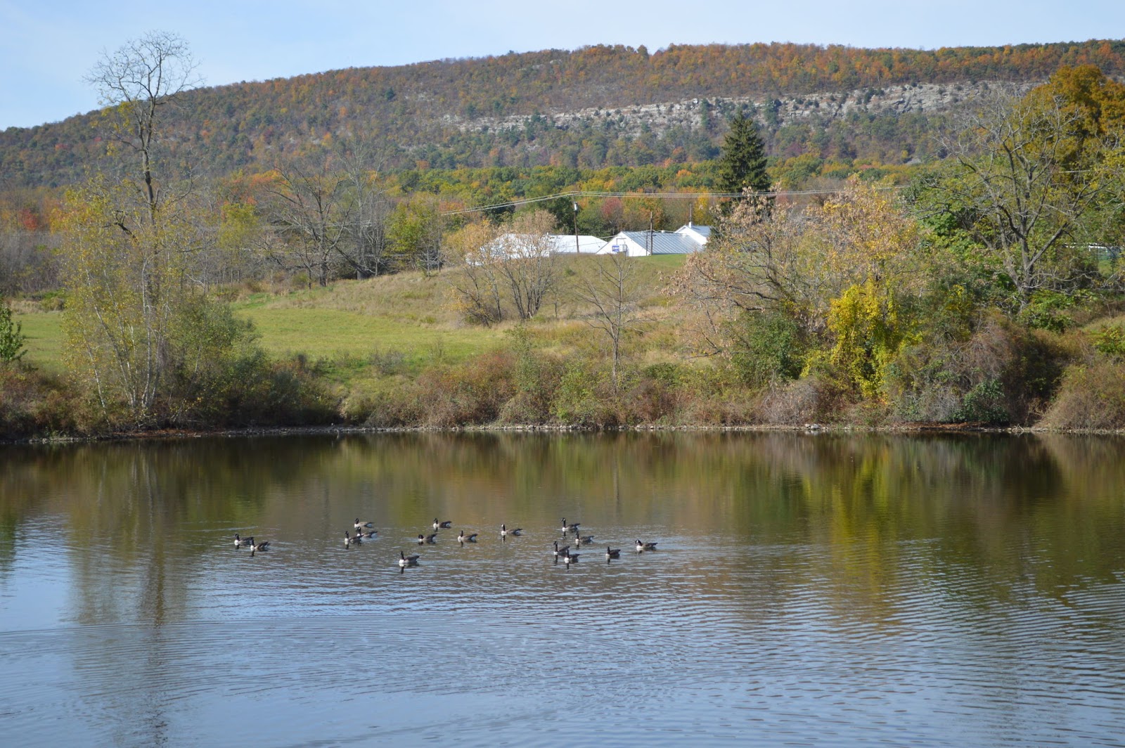 GardenStatePics.com: New Jersey and You - Perfect Together, Liberty and ...