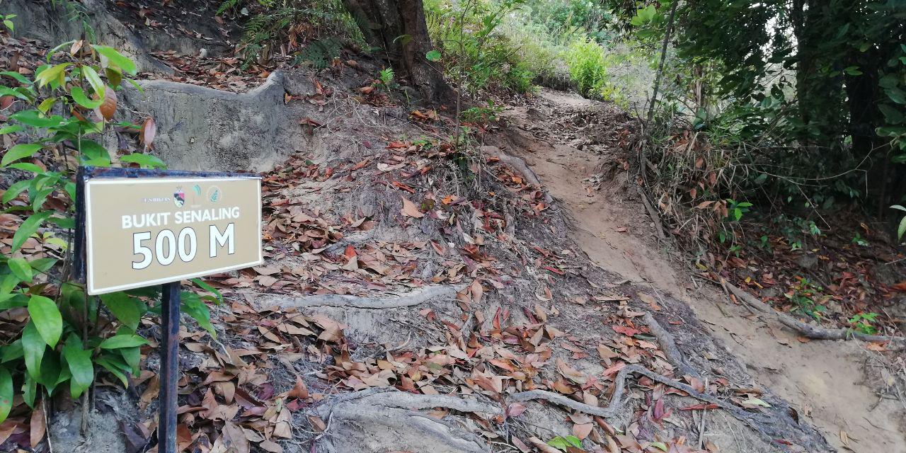 R U N N I N G: Bukit Senaling - Negeri Sembilan