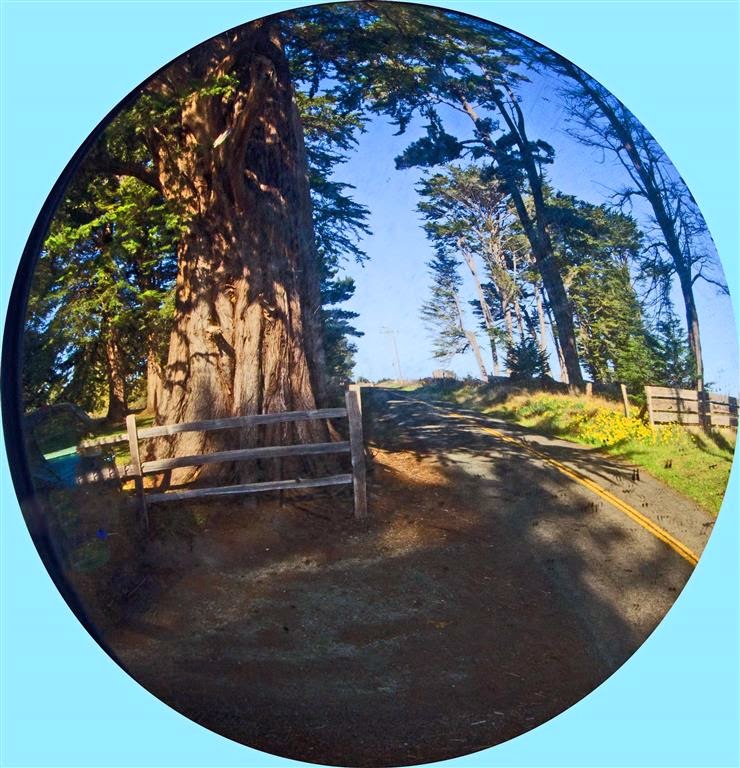 Fog Dodgers: March 2014