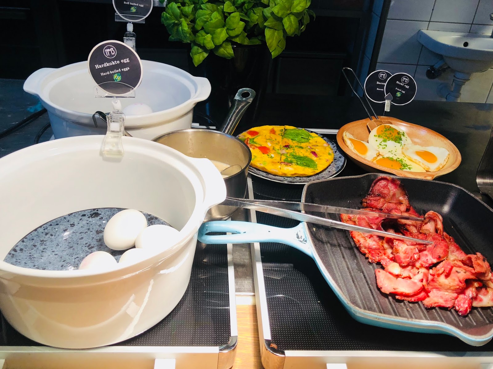 8 Best Ways To Use Your Choice Privileges Points [2021] - My Points Life