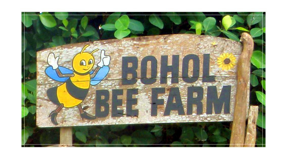 My Backpack Diaries: A Satisfying Organic Meal at Bohol Bee Farm
