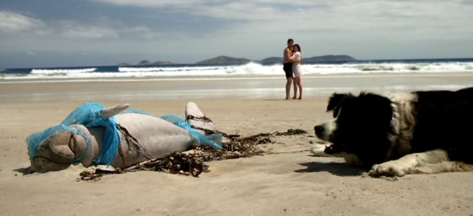 HORROR FOREVER: DŁUGI WEEKEND / LONG WEEKEND (2008)