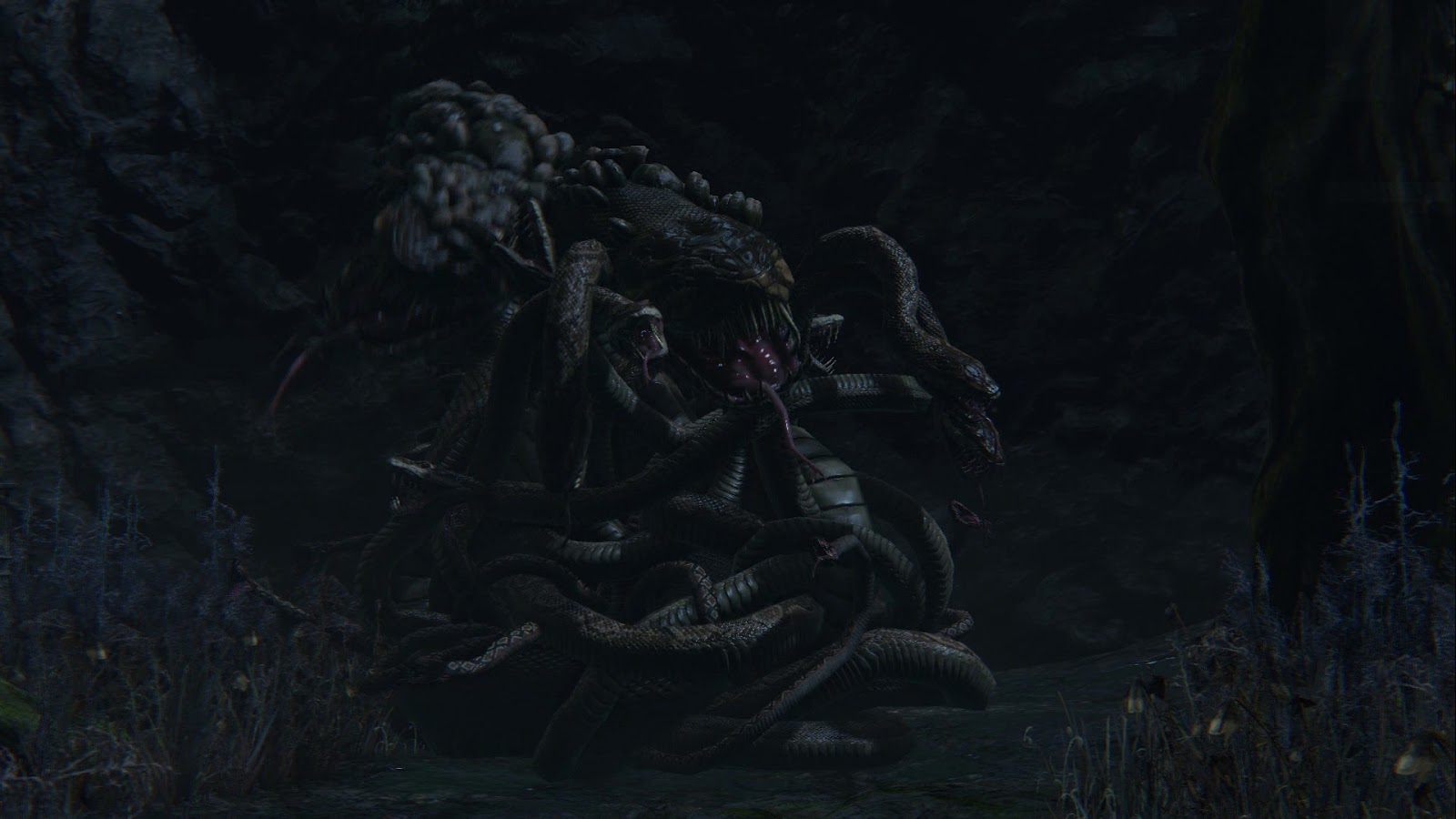 Large Snake Ball | Bloodborne Wiki