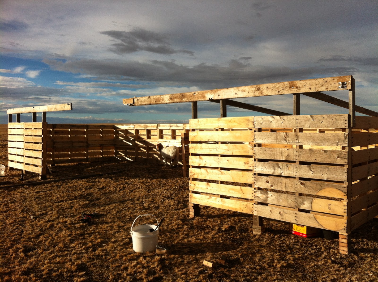 Pilgrim Farms: Fall work