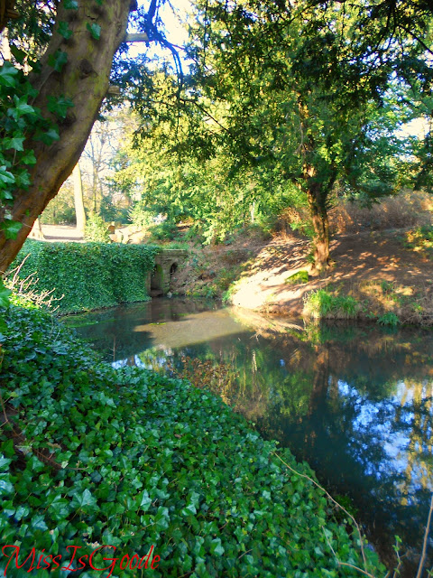 Exploring Keele Woods - MissIsGoode