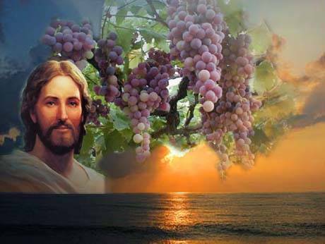 Iglesia de Trujillo - Centro: 23 | La vid fructífera