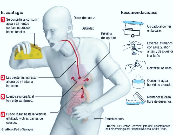 Sallmonella Typhi: mayo 2016