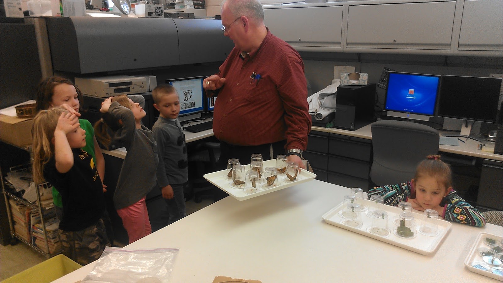 Monarch live: 1st grade @ ISU monarch lab