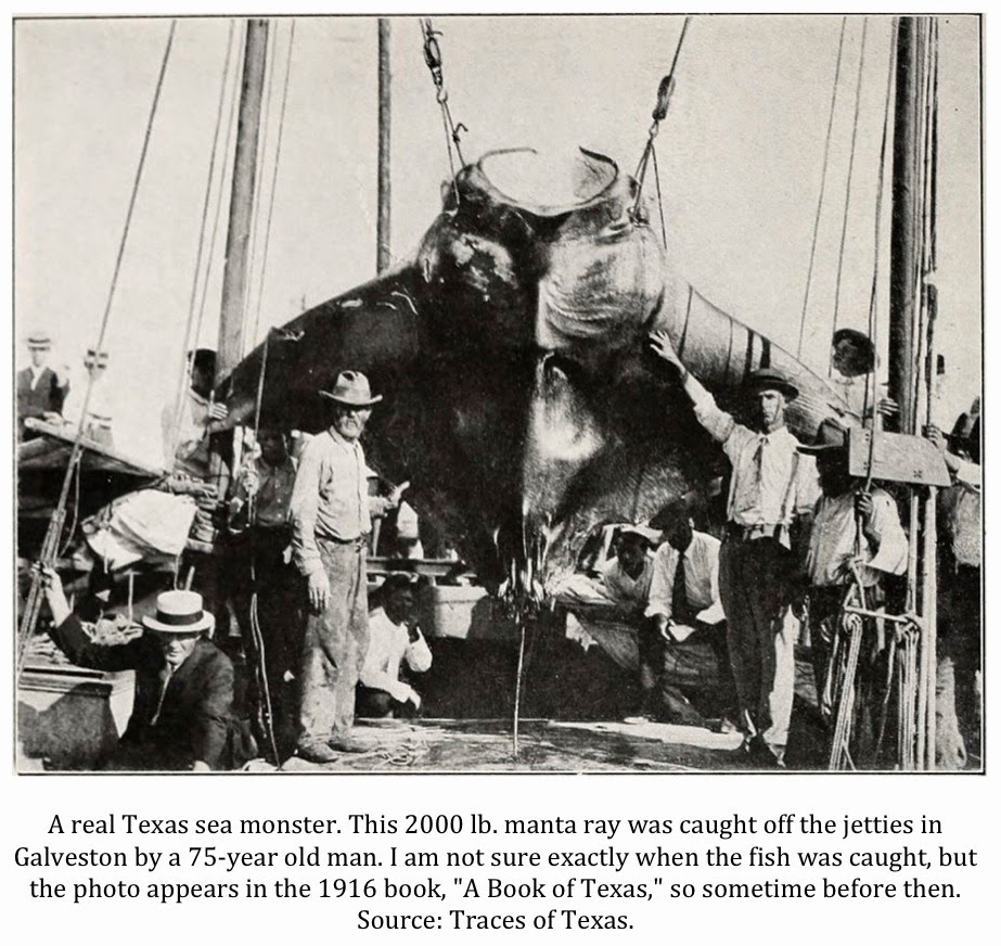 Texas Cryptid Hunter: A Real Texas Sea Monster