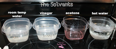 We used 4 solvents to conduct our experiment: room temperature tap ...