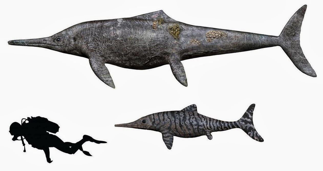 AGATHAUMAS: L'Autore