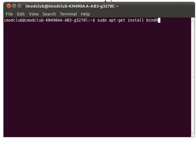 install DNS Server for ubuntu 10.10
