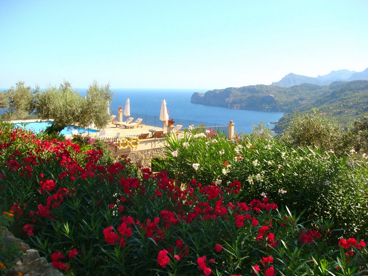 ADELA SIRGHIE: Intr-o zi cu soare si cu iarba mare ...