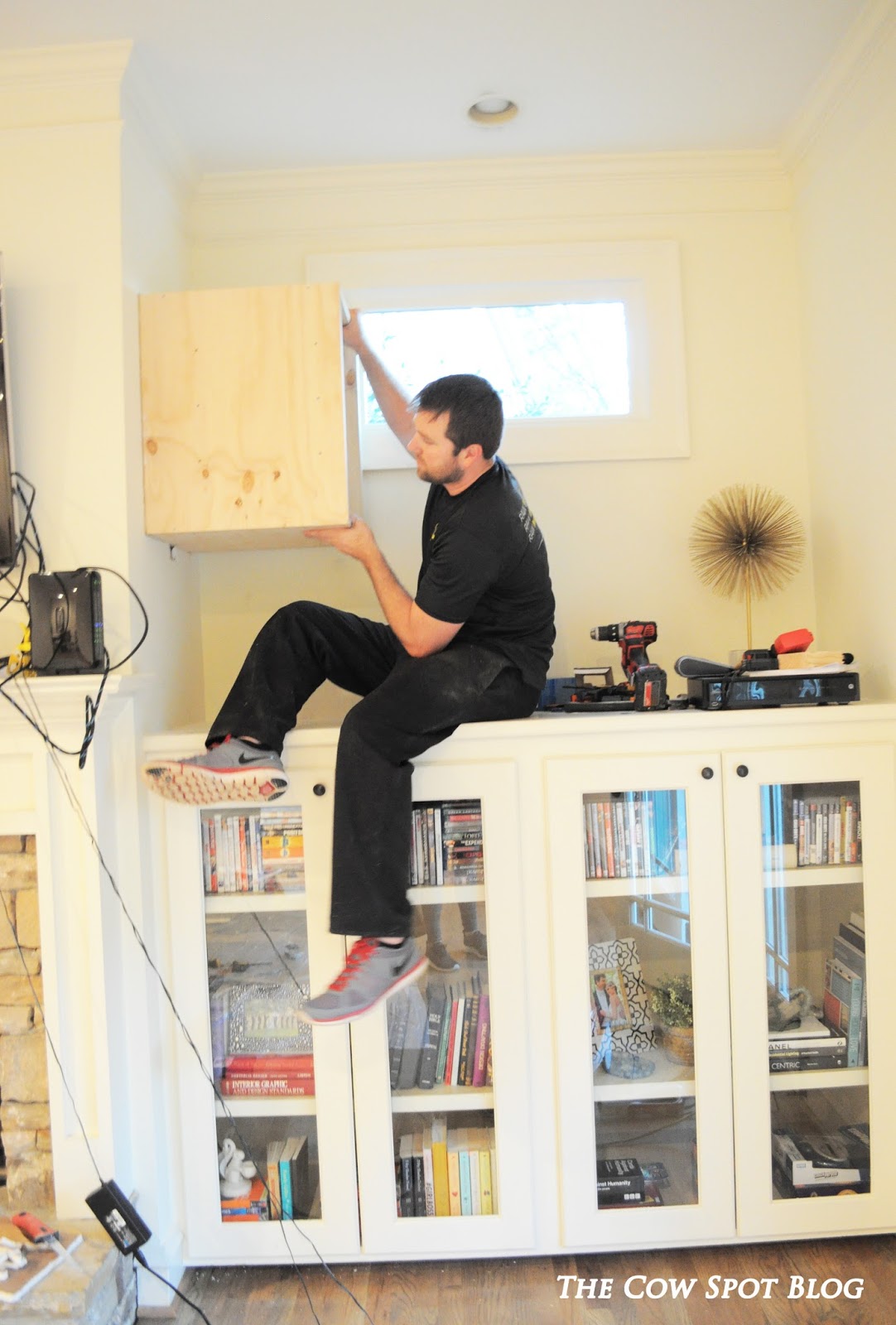 The Cow Spot: DIY TV Niche'