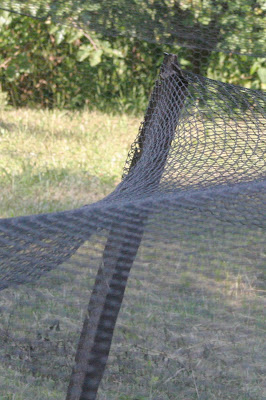 A Fly on Our (Chicken Coop) Wall: A Redneck, Fake Farmer's Guide to ...