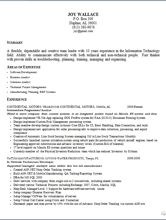Intermediate Programmer Sample Resume Format in Word Free Download