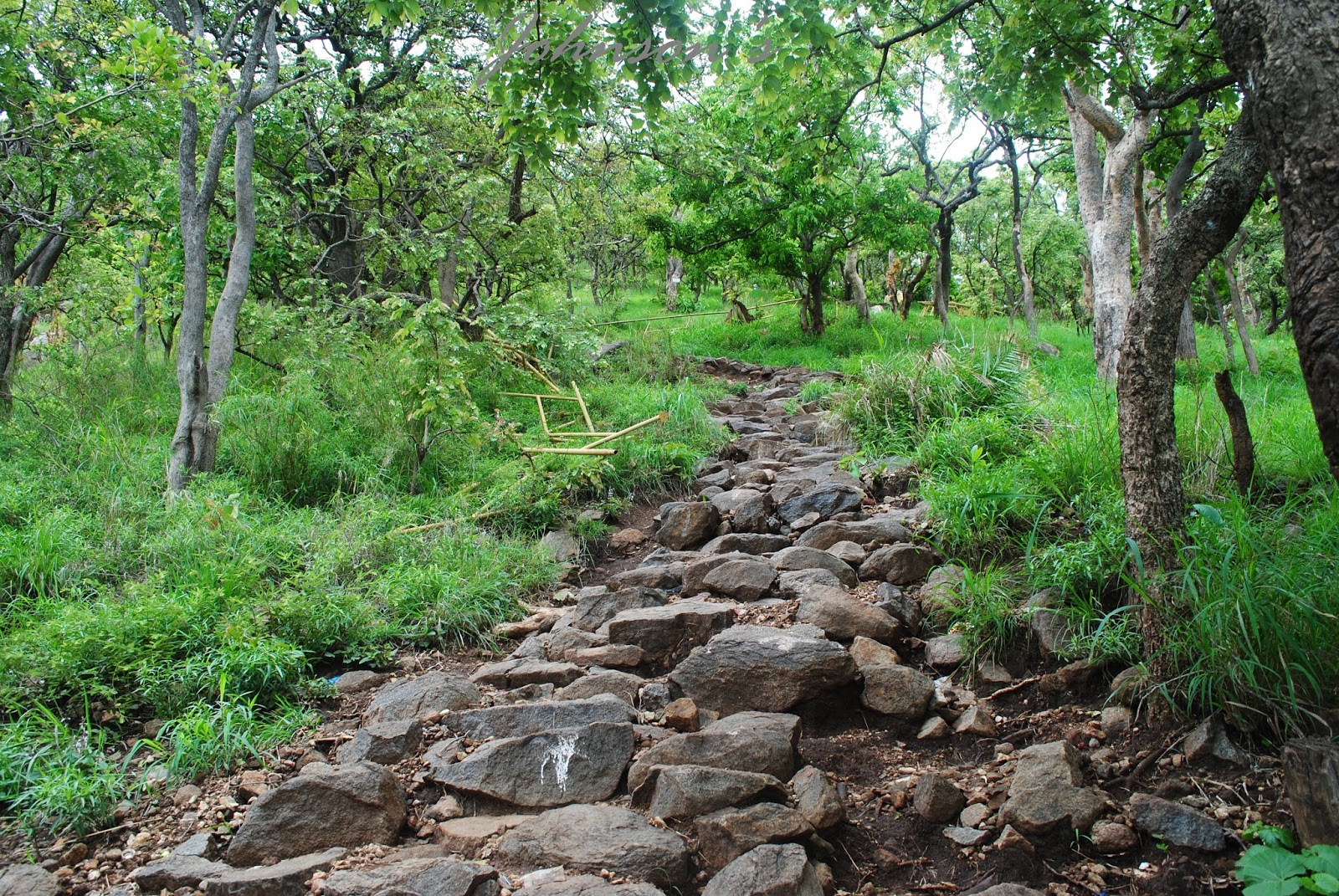 Tamilnadu Tourism: Parvathamalai, Thiruvannamalai