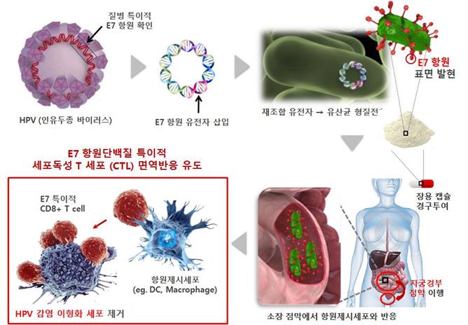 바이오리더스 주요제품 정보