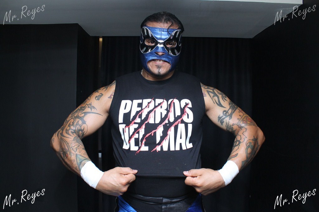 ESTRELLAS DEL RING.: Lizmark Jr regresa a los Perros del Mal.