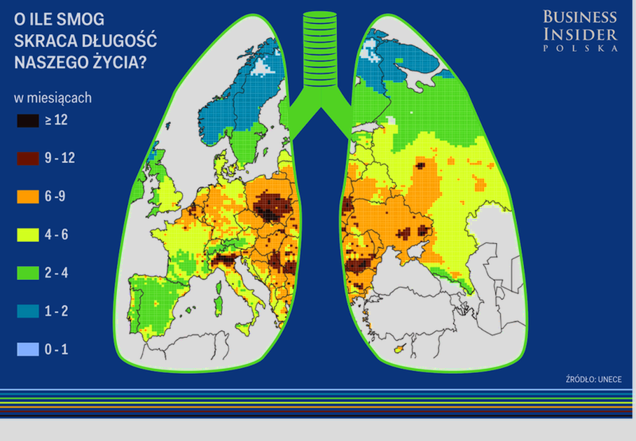 Eko-Gajusz: Zdrowie - Ekologia - Prawa Człowieka -Terapie Alternatywne ...