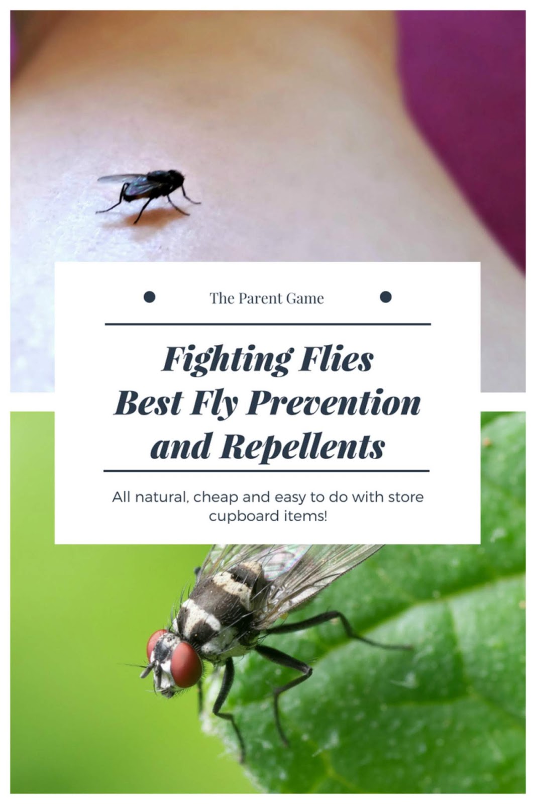 Fighting Flies - Best Fly Prevention and Repellents | The Parent Game