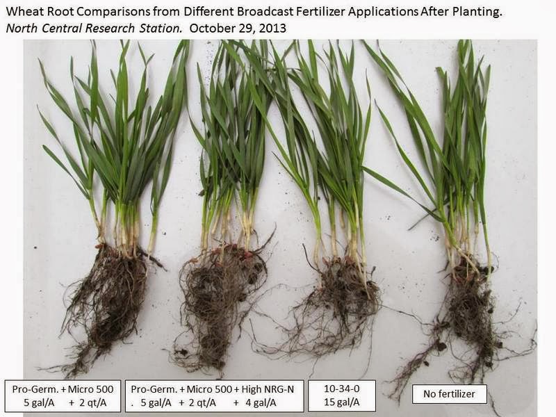 Land of LIQUID: November 2013