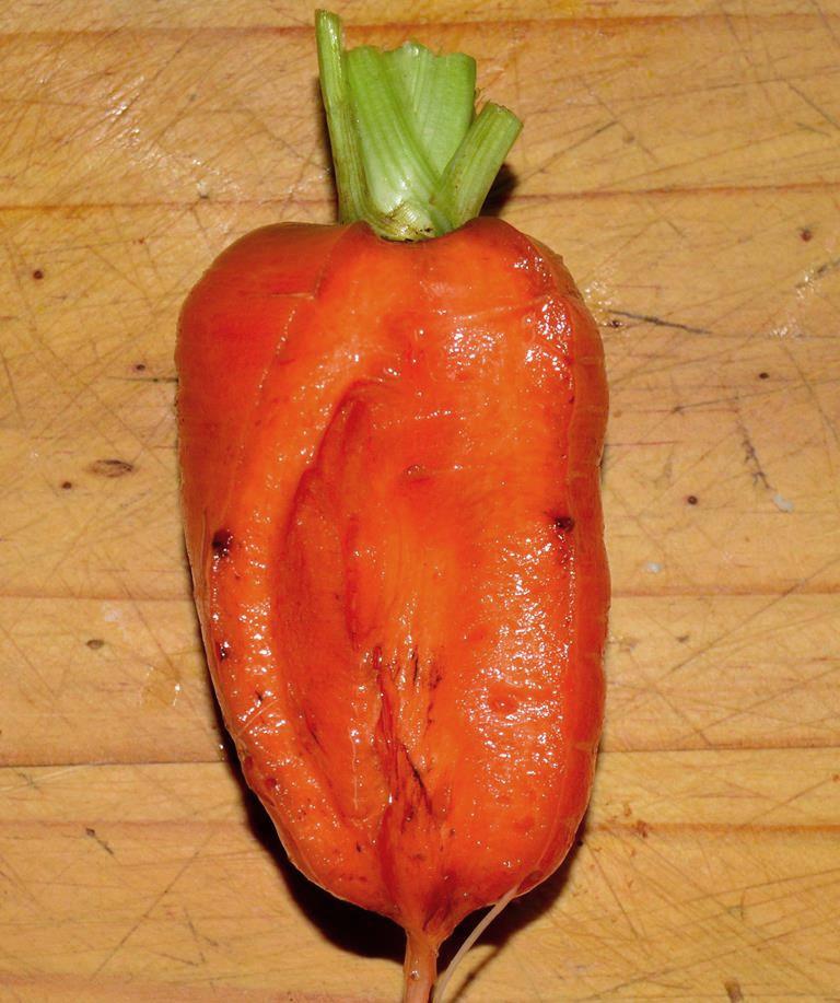 Roots 'n' Shoots: Carrot Revisited: How to Grow - Vegetable of the Month