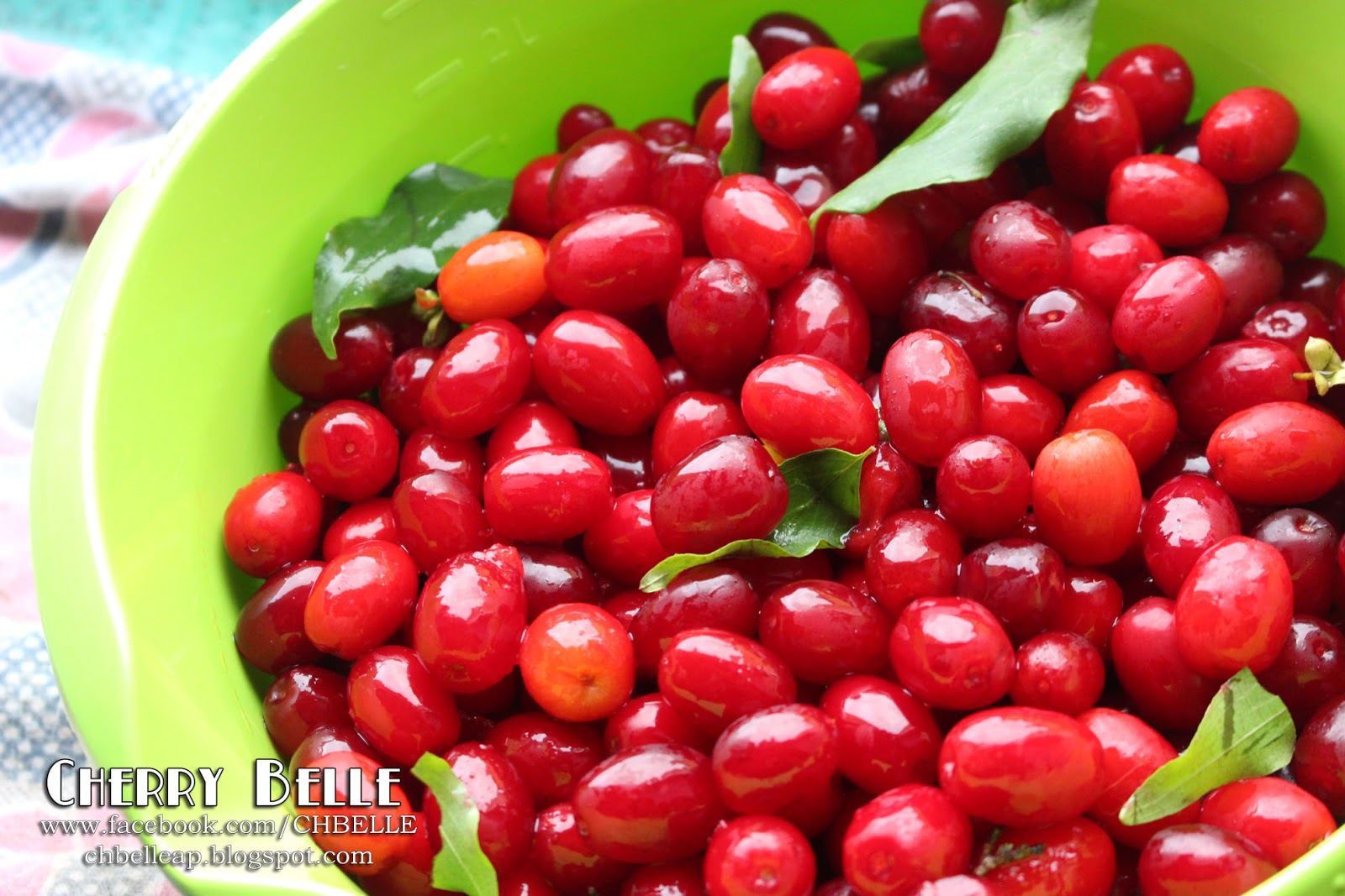 Cherry Belle Beauty & Books: Dereń jadalny – Właściwości i zastosowanie ...