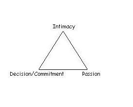 Social Inequalities and Schooling: IA: Sternberg's Triarchic Theory and ...