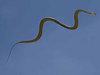 VIAGEM, TURISMO E AVENTURAS POR LUGARES INCRÍVEIS : ÁGUA DOCE / SANTA ...