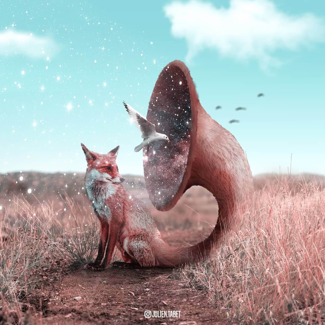 Design Stack: A Blog about Art, Design and Architecture: Surreal Animal ...