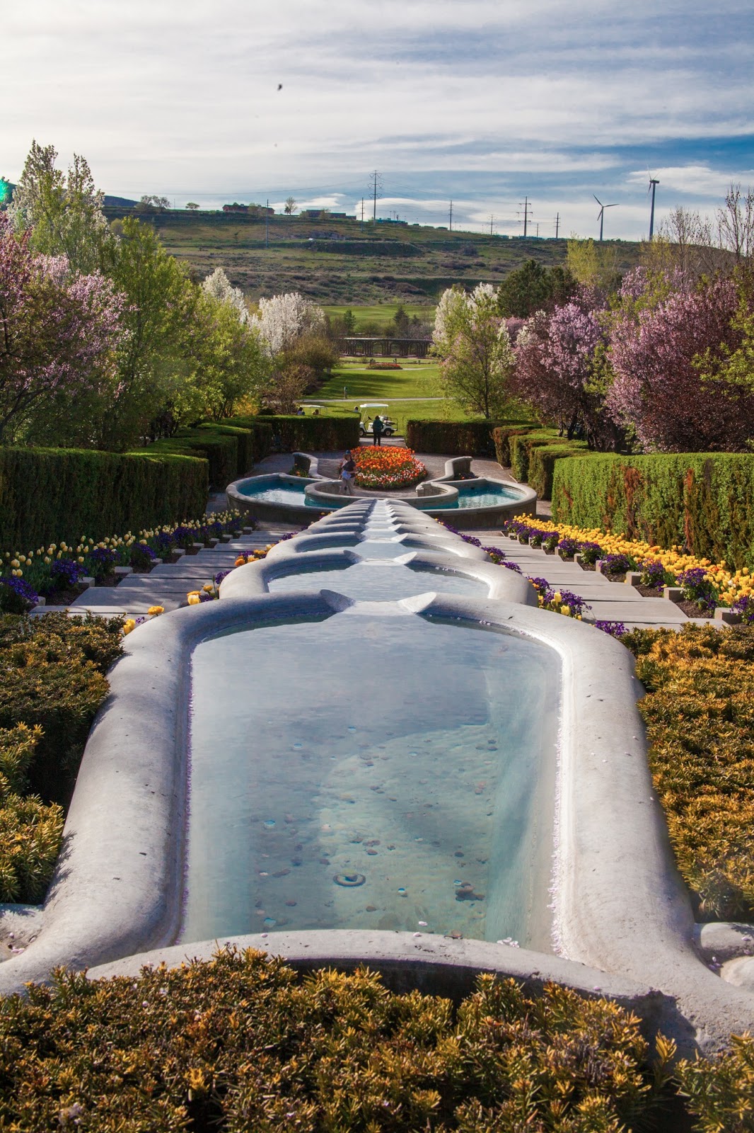 My Musings: Tulip Festival at Thanksgiving Point