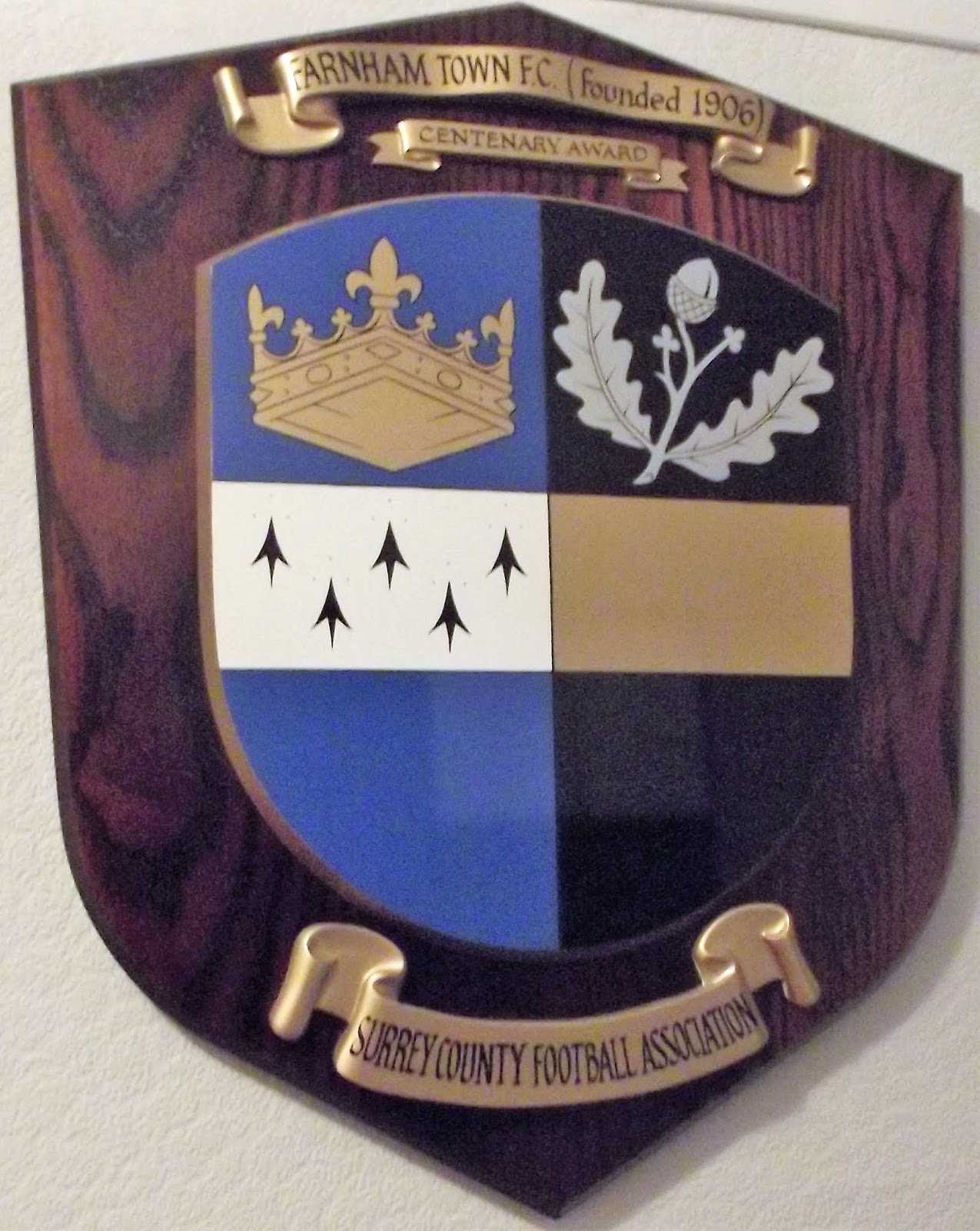 The Wycombe Wanderer: Farnham Town FC - The Memorial Ground